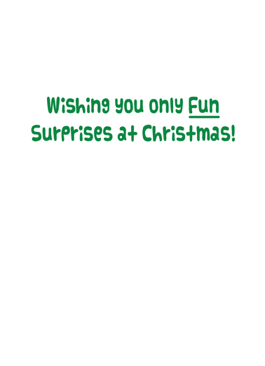 Funny Christmas Card Mrs Claus Naughty List From